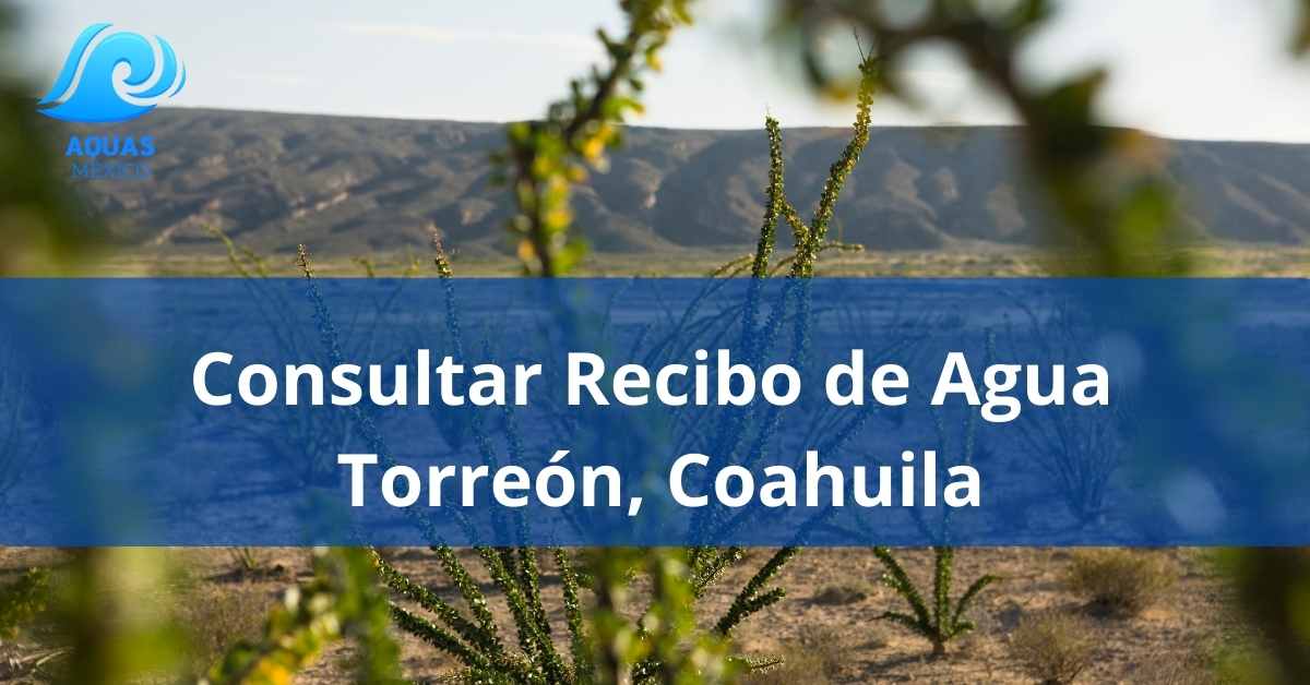 Recibo de agua SIMAS: Consultar y descargar recibo
